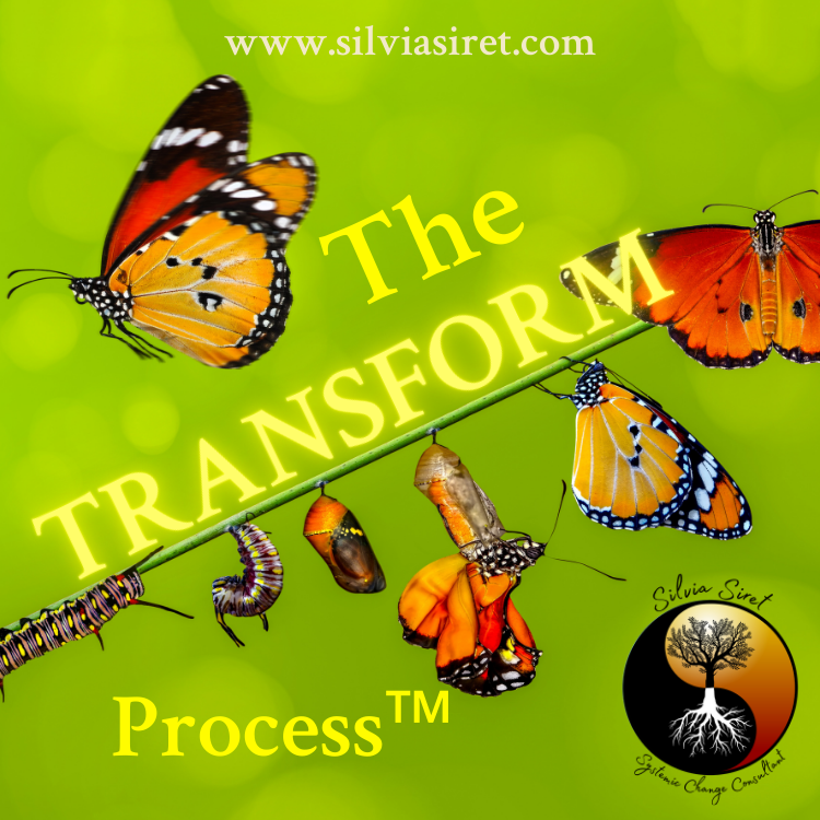 The TRANSFORM Process™ – Silvia Siret – Family Constellations Life Coach